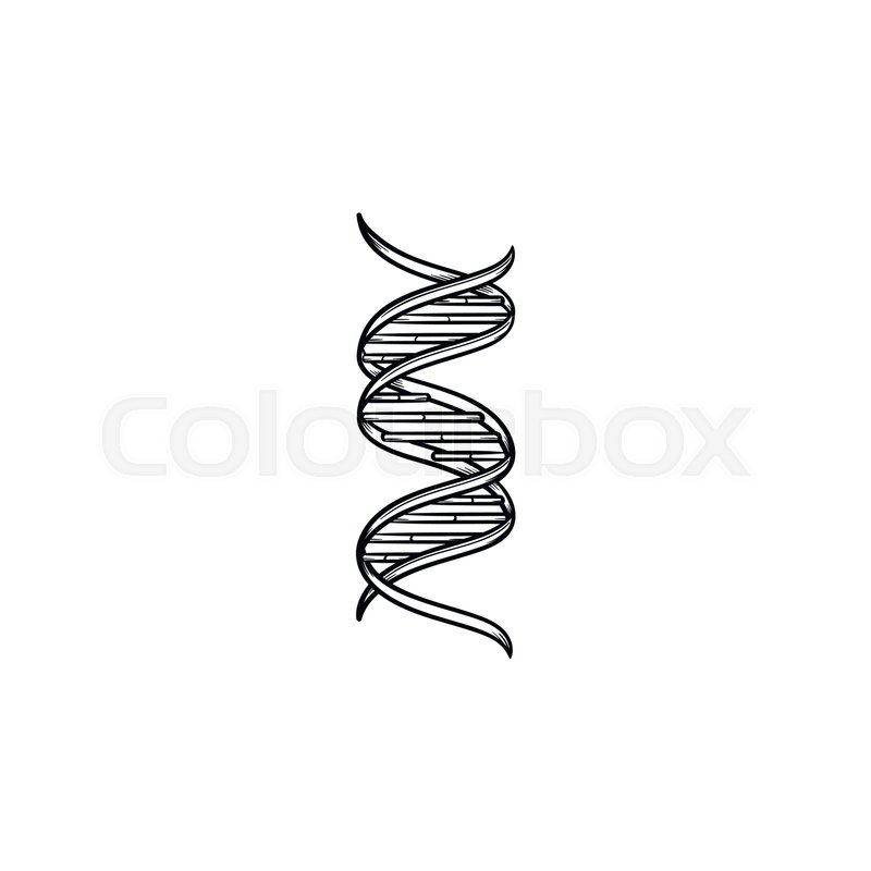 DNA genetic chain hand drawn outline ... | Stock vector | Colourbox