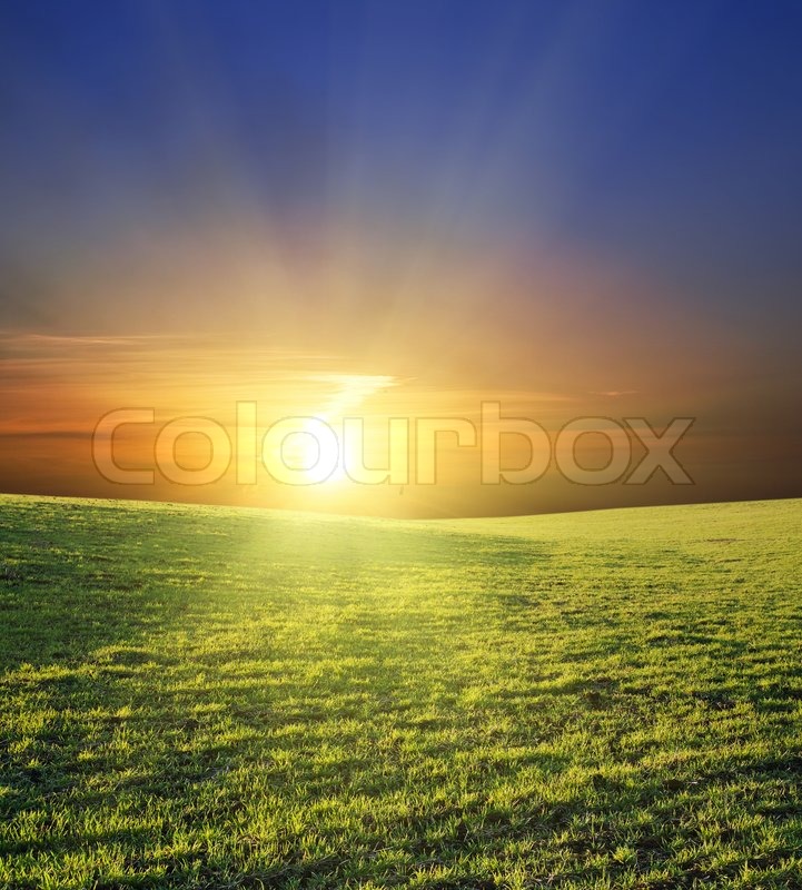 Sunset over green field | Stock Photo | Colourbox