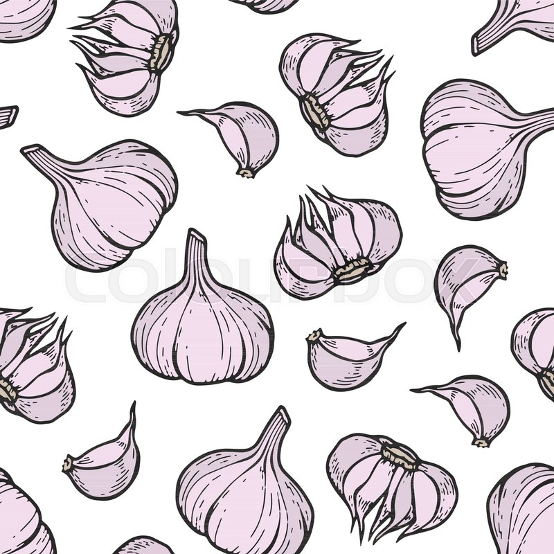 Vector garlic seamless pattern for ... | Stock vector | Colourbox