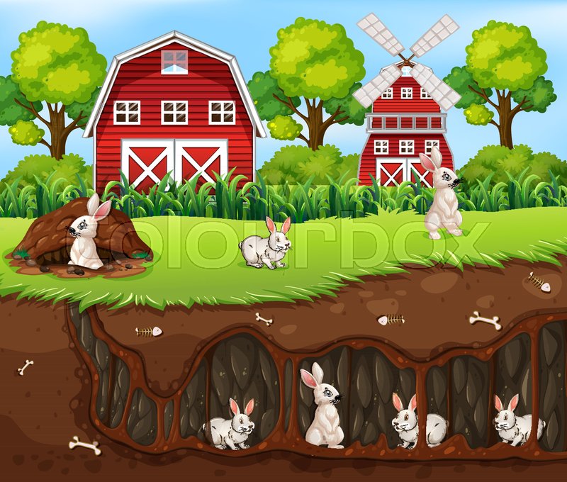 Rabbit House Underground the Farm ... | Stock vector | Colourbox