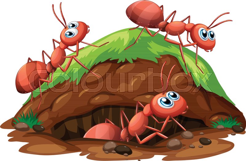 Worker Ants on White Background ... | Stock vector | Colourbox
