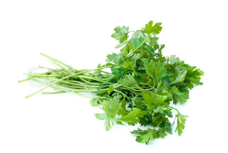 Bunch of parsley isolated on the white ... | Stock image | Colourbox