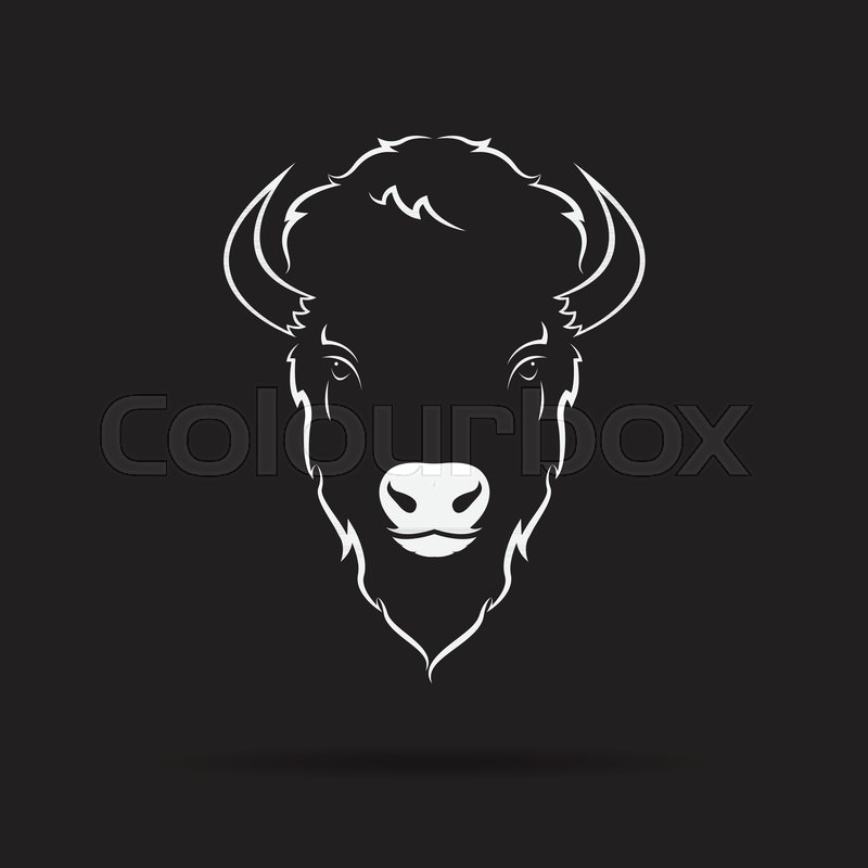 Vector of a buffalo head design on ... | Stock vector | Colourbox