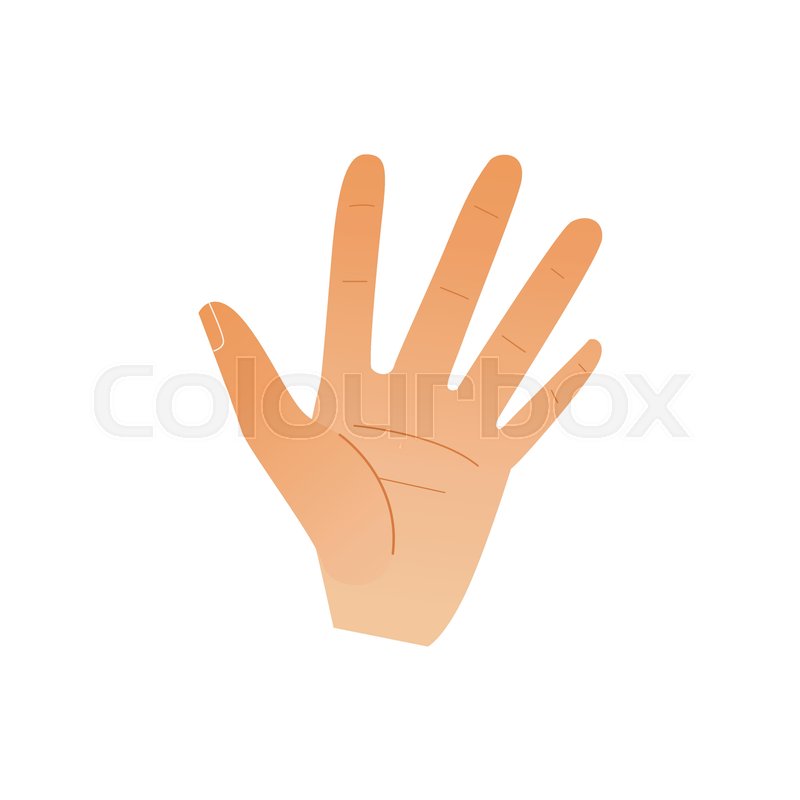 Human hand showing five fingers ... | Stock vector | Colourbox