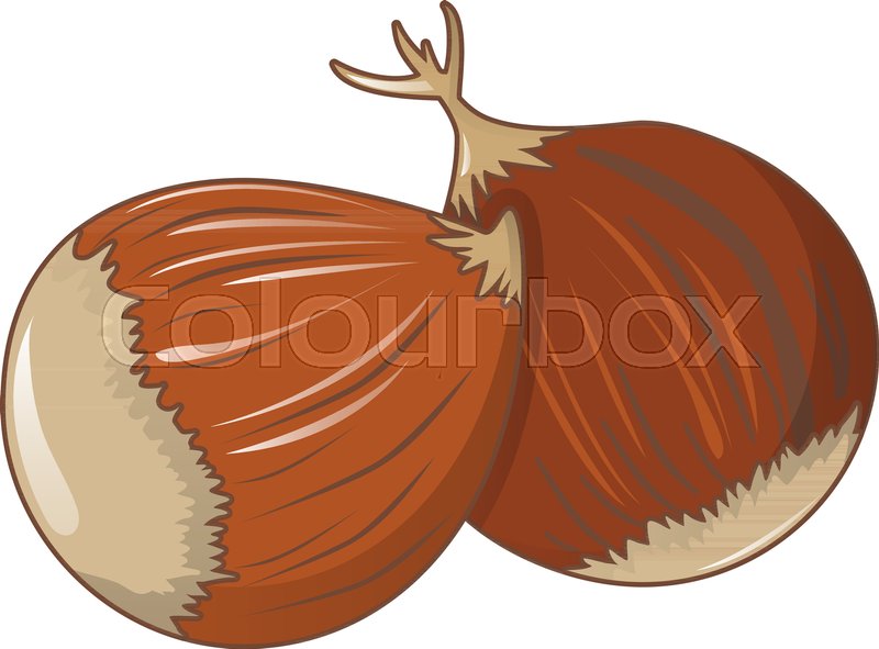 Chestnut icon. Cartoon of chestnut ... | Stock Vector | Colourbox