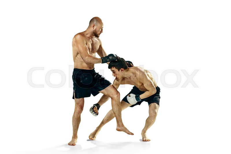 MMA. Two professional boxers boxing ... | Stock image | Colourbox