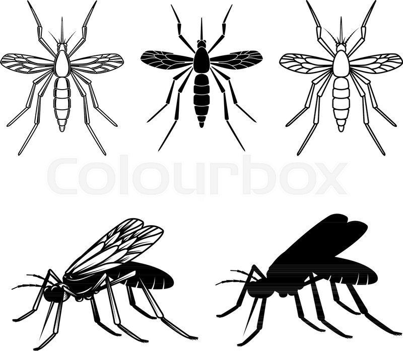 Set of mosquito illustrations. Design ... | Stock vector | Colourbox