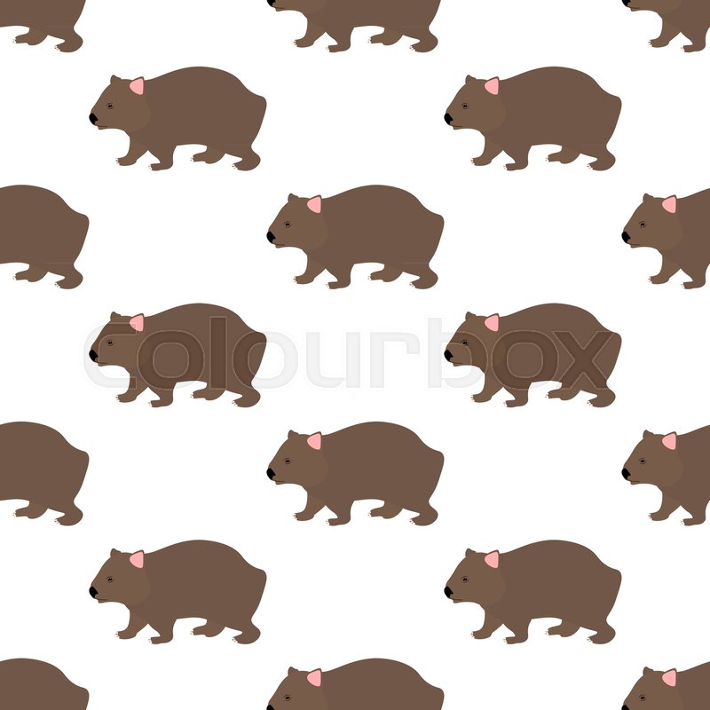 Wombat seamless pattern on the white ... | Stock vector | Colourbox