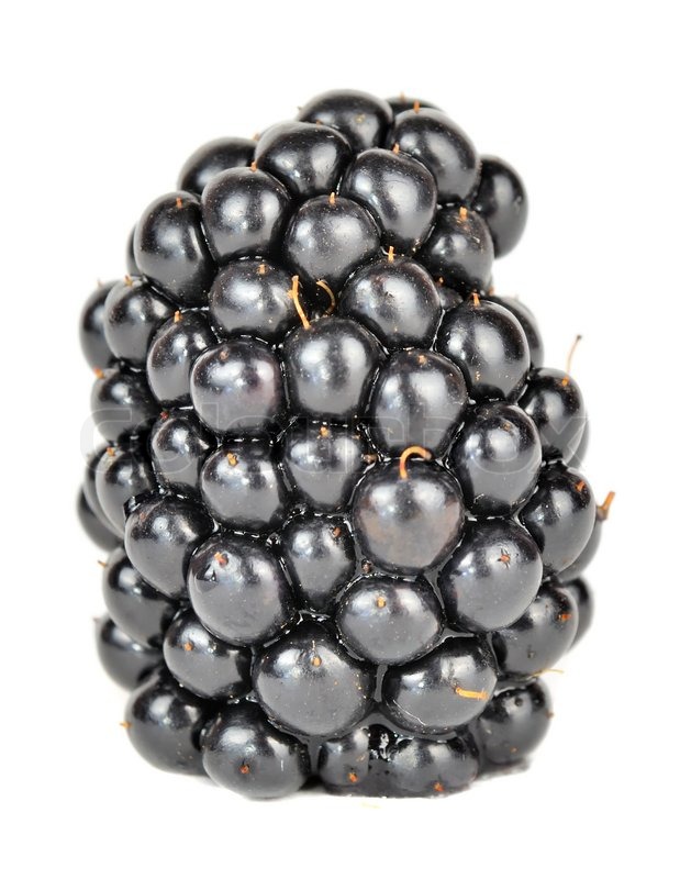 Juicy Blackberry Close-Up Isolated on ... | Stock image | Colourbox
