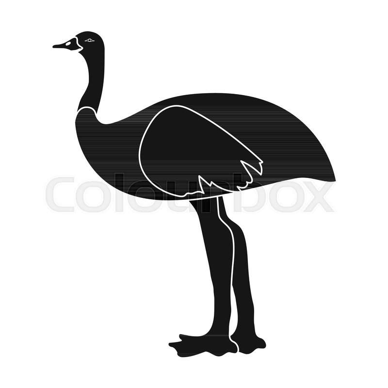Emu icon in black design isolated on ... | Stock vector | Colourbox