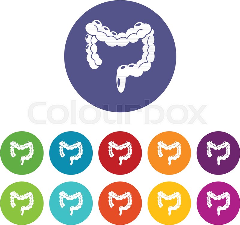 Human large intestine icons color set ... | Stock vector | Colourbox