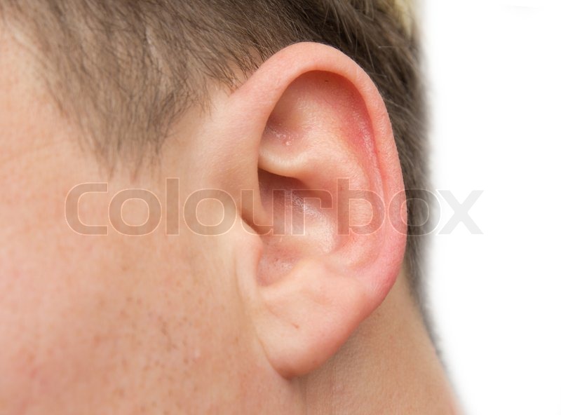 Closeup of a human ear | Stock image | Colourbox