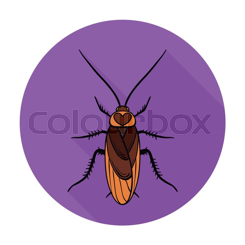 Cockroach icon in flat design isolated ... | Stock vector | Colourbox