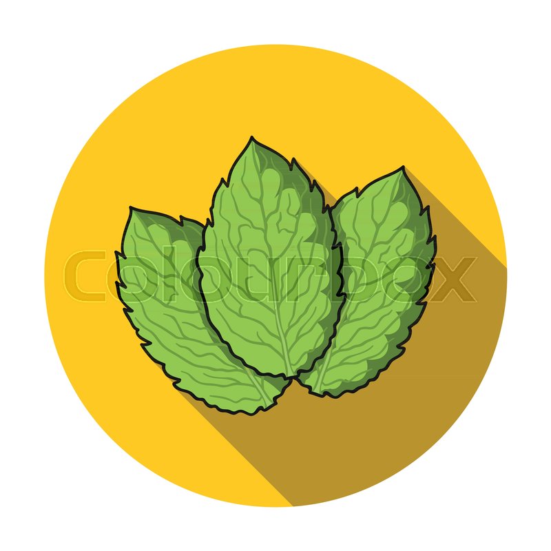 Mint icon in flat style isolated on ... | Stock vector | Colourbox