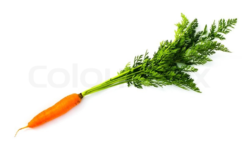An image of fresh carrot with green ... | Stock image | Colourbox