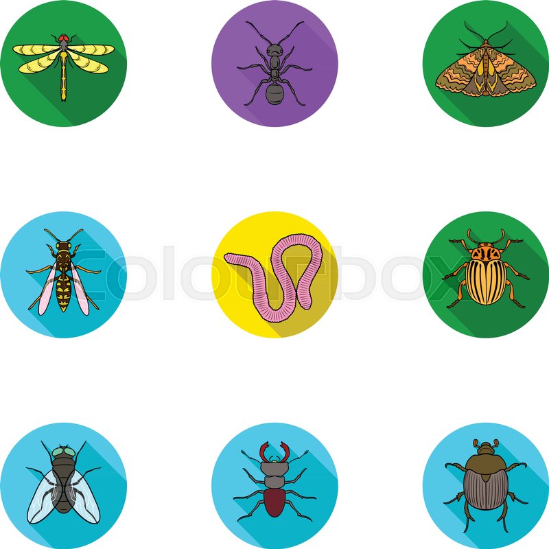 Insects set icons in flat design. Big ... | Stock vector | Colourbox