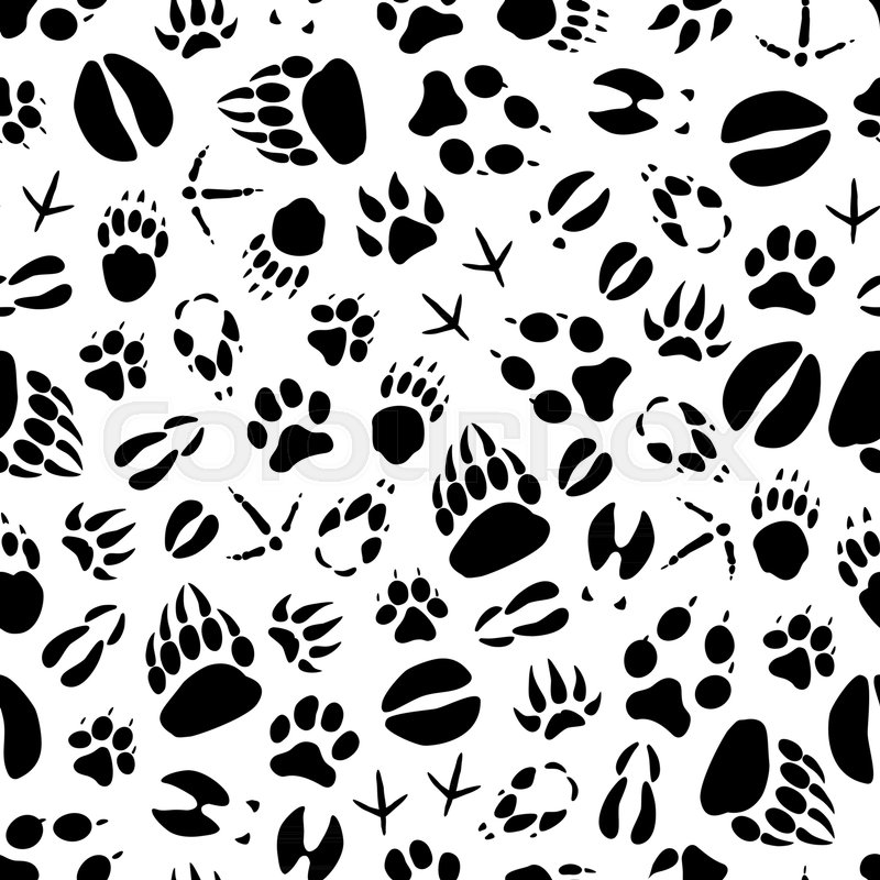 Animal Foot Prints Patterns