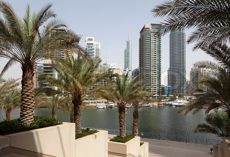 Palm Trees at Dubai Marina | Stock image | Colourbox