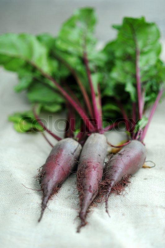 Ein Bild von frischen lila Rüben mit ... | Stock Bild | Colourbox