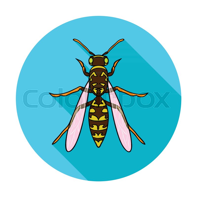 Wasp icon in flat design isolated on ... | Stock vector | Colourbox
