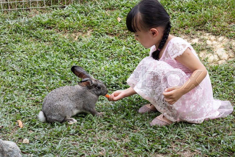 Girl Feeding Rabbit