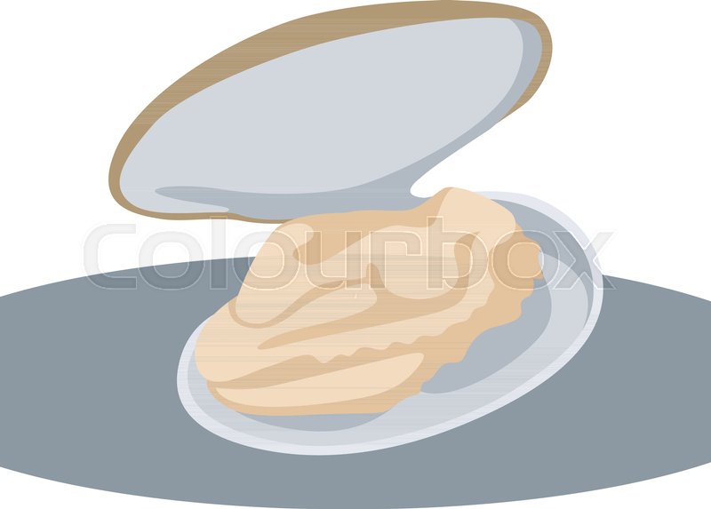 Clams vector illustration flat style ... | Stock vector | Colourbox
