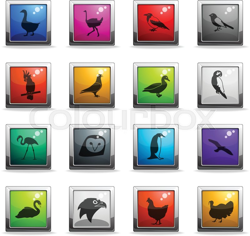 Birds web icons in square colored ... | Stock vector | Colourbox