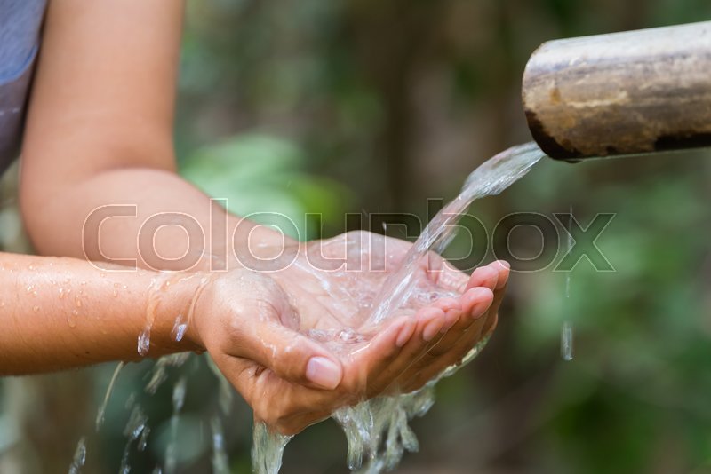 Hands receive the natural water from ... | Stock image | Colourbox