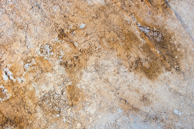 Dense limestone soil with salt elements ... | Stock image | Colourbox