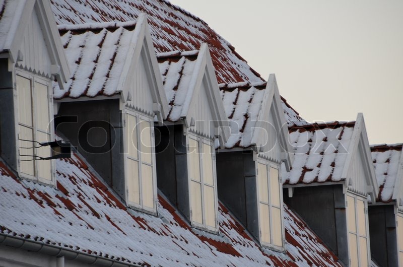 Tagkvist med sne og rødetagsten | Stock foto | Colourbox