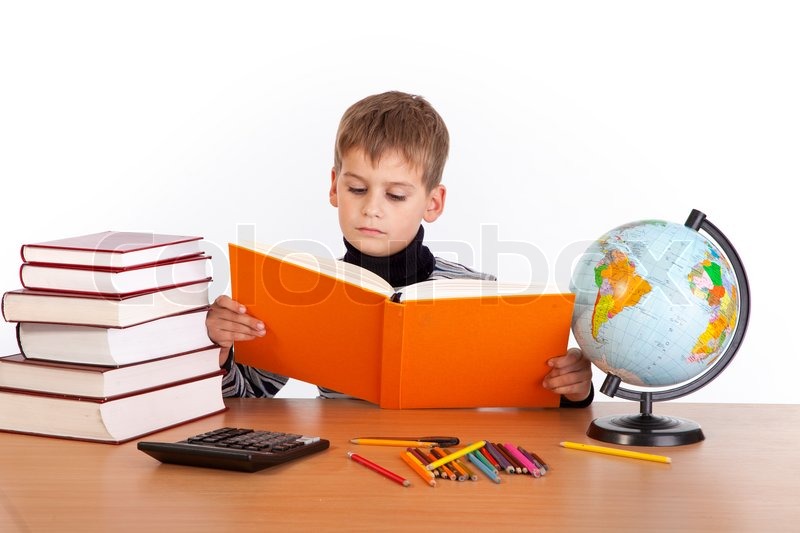 Cute schoolboy is reading a book ... | Stock image | Colourbox