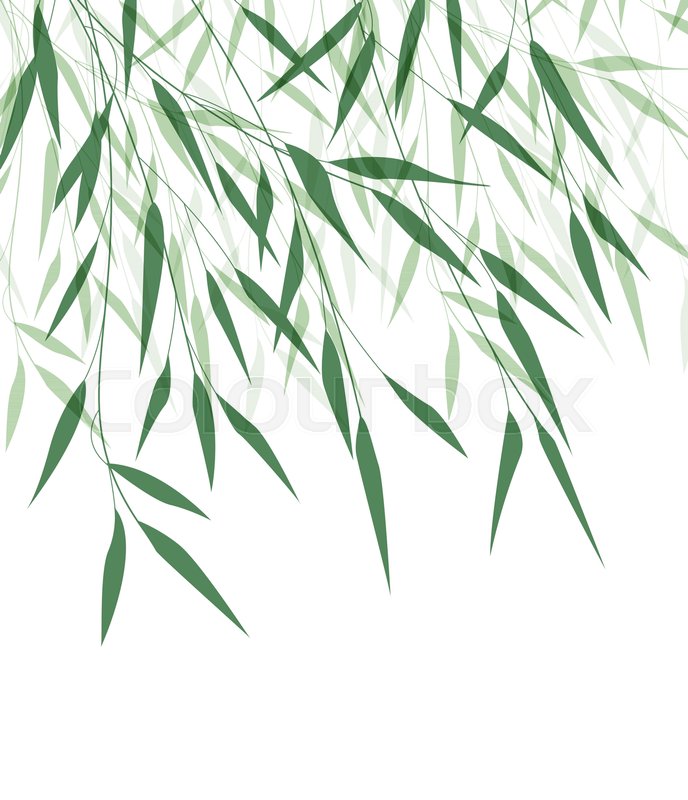 Vector illustration of Bamboo leaf. ... | Stock vector | Colourbox