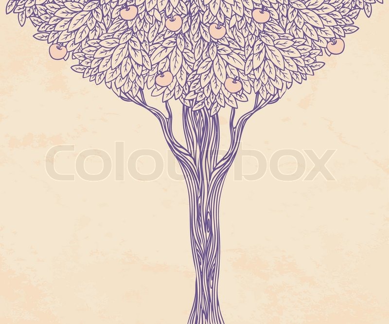 Vintage illustration of a tree | Stock vector | Colourbox