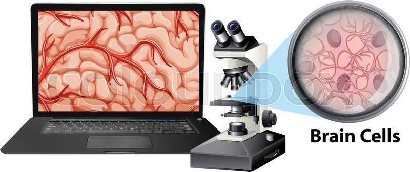 Close up of brain cells with ... | Stock vector | Colourbox