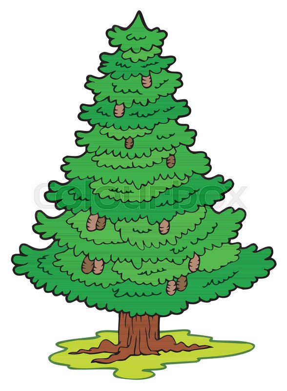 Cartoon coniferous tree - vector ... | Stock vector | Colourbox