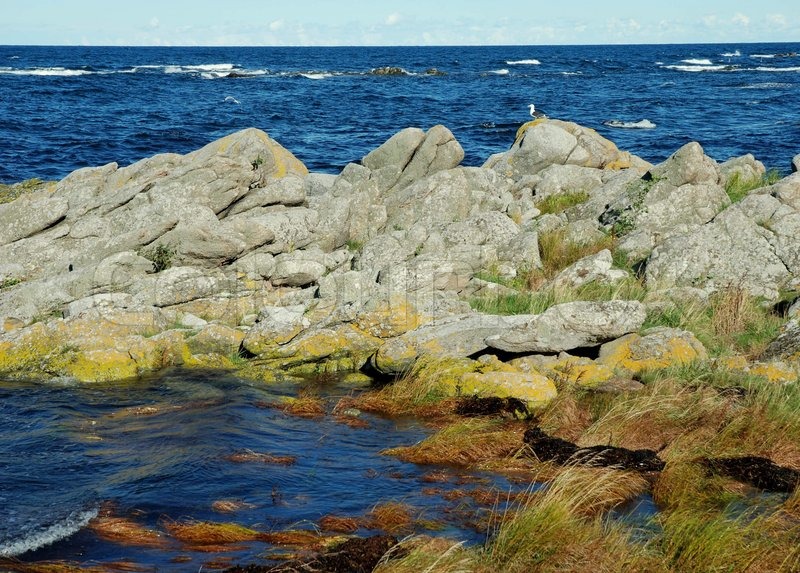 Seaside Granite Cliffs by Svaneke on ... | Stock image | Colourbox