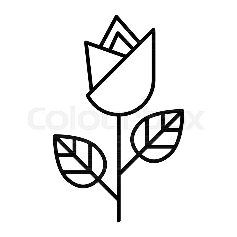 Simple Rose Outlines