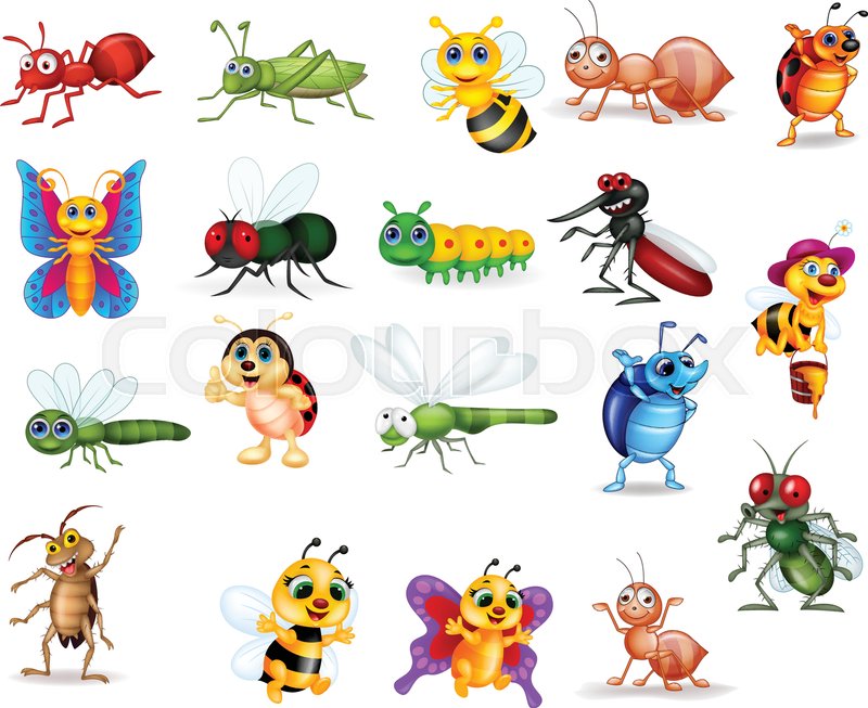 Vector illustration of Cartoon insect ... | Stock vector | Colourbox