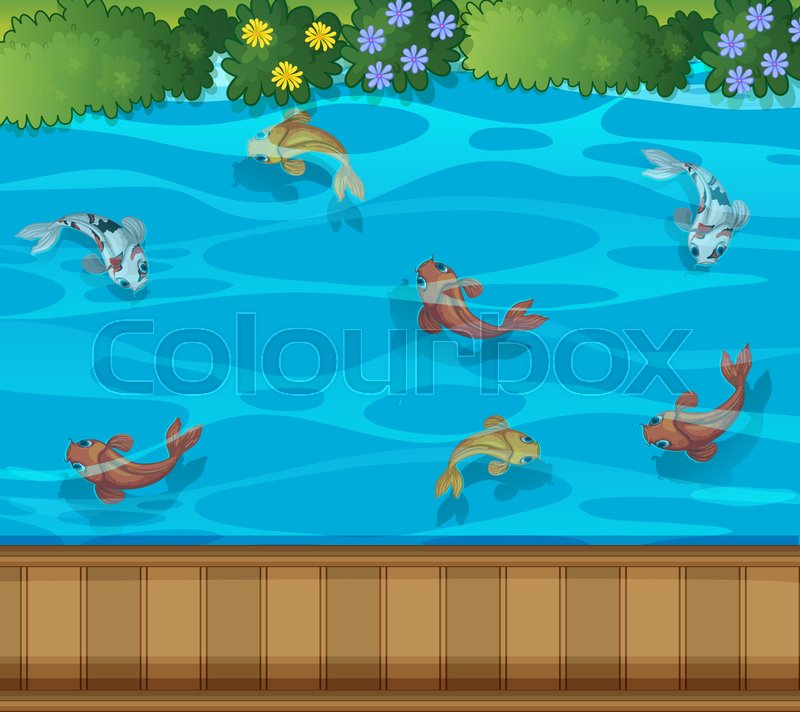 Fish Pond Clipart