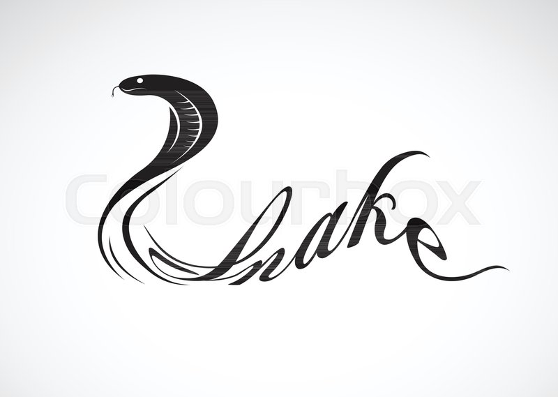 Vector of snake is text on white ... | Stock vector | Colourbox