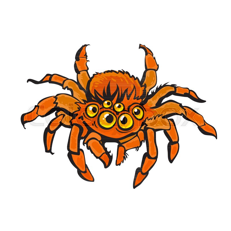 Halloween Spider Cartoon