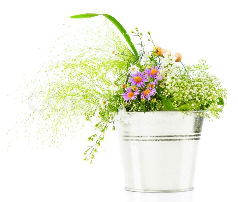 Bucket of spring fresh wild flowers ... | Stock image | Colourbox
