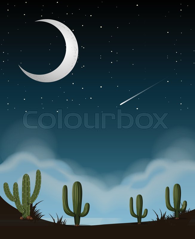 A desert at night illustration | Stock vector | Colourbox