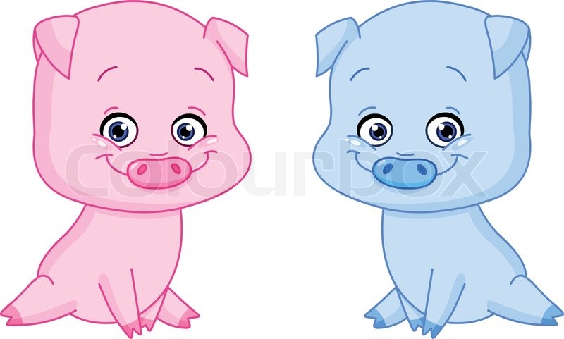 Animated Baby Pigs