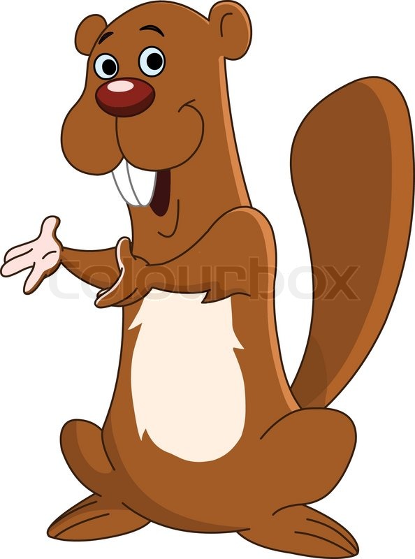 Cartoon beaver presenting with his ... | Stock vector | Colourbox
