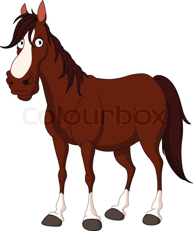 Handsome hest | Stock vektor | Colourbox
