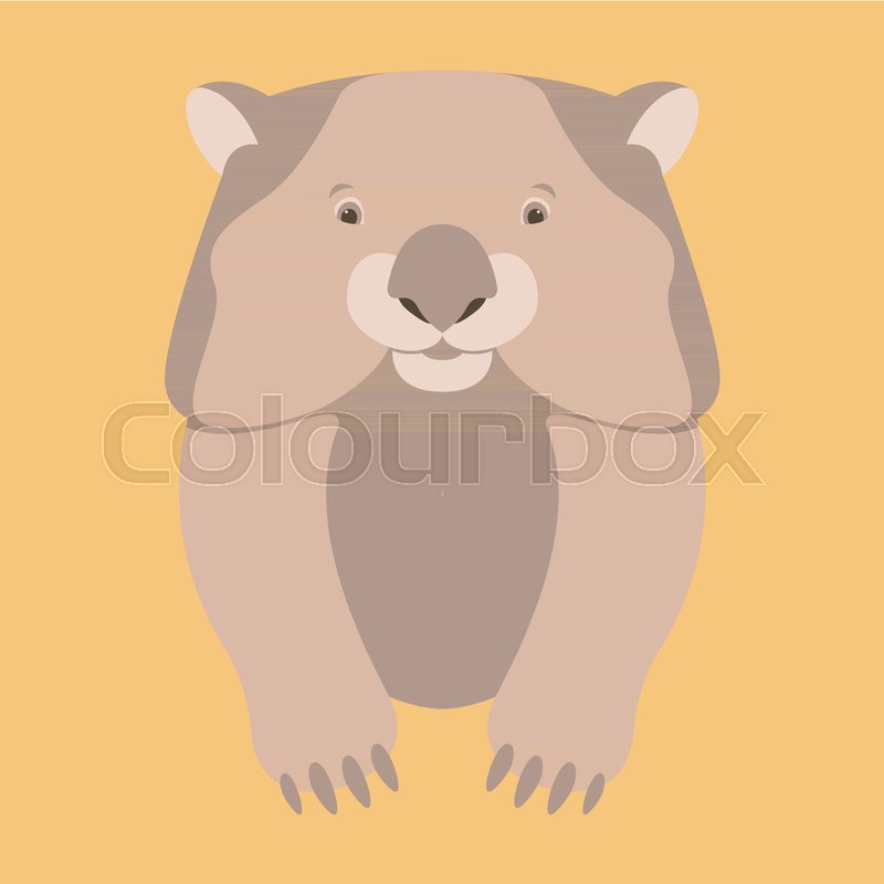 Wombat face vector illustration flat ... | Stock vector | Colourbox