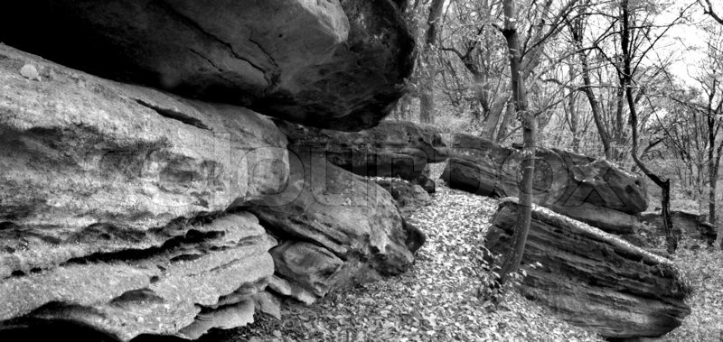 Sort og hvidt billede af sten i skoven | Stock foto | Colourbox
