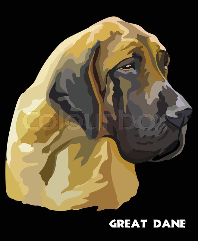 Colored portrait of Great Dane ... | Stock vector | Colourbox