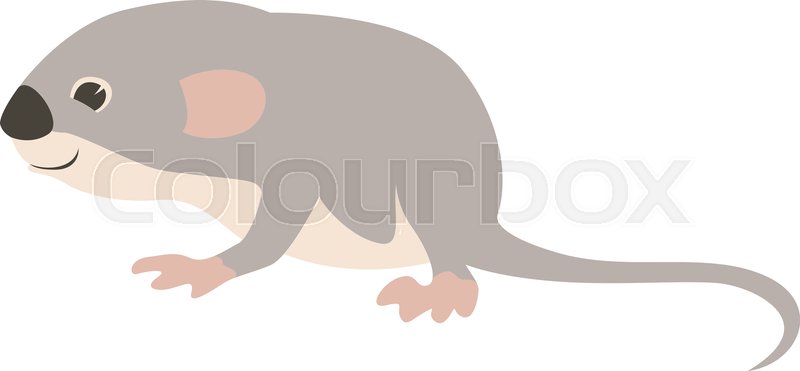 Small mouse vector illustration ... | Stock vector | Colourbox